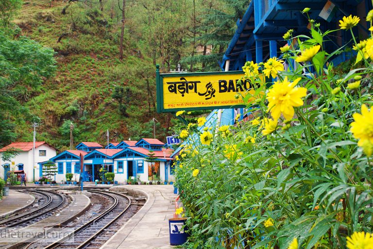 Traveling offbeat in Barog » TRAVEL STORIES- India