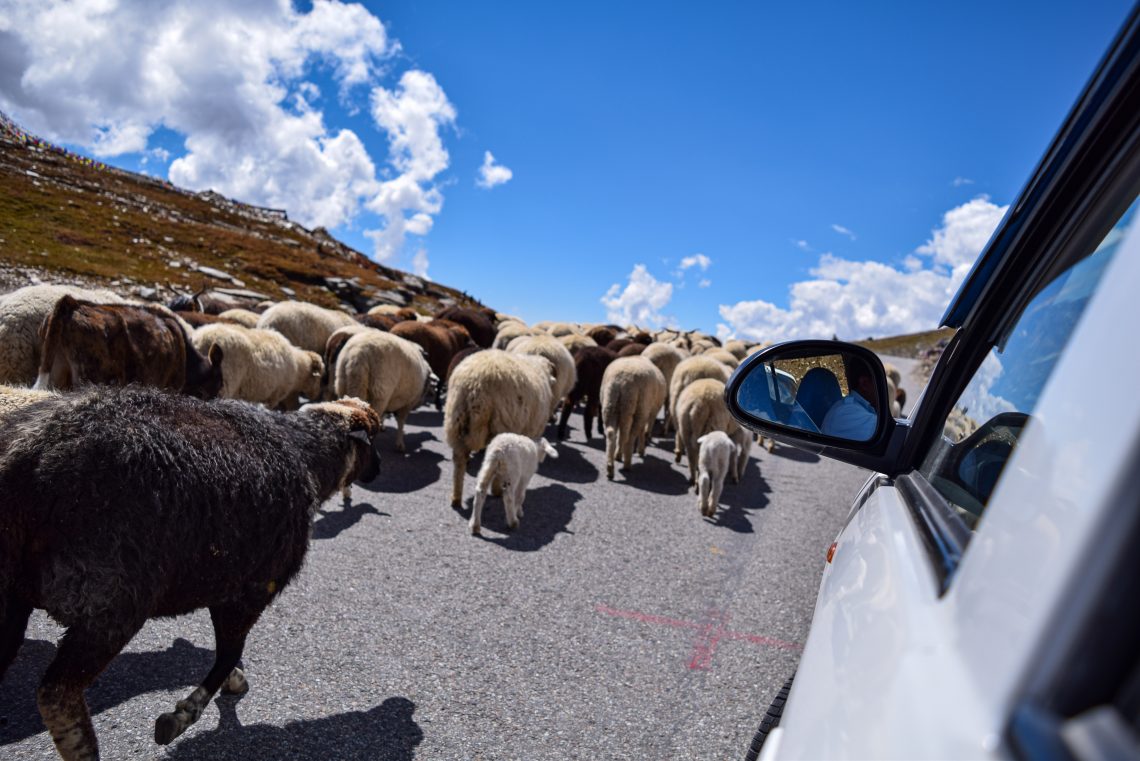 5 Responsible Travel Tips That Make a Big Difference - The Travel Curry