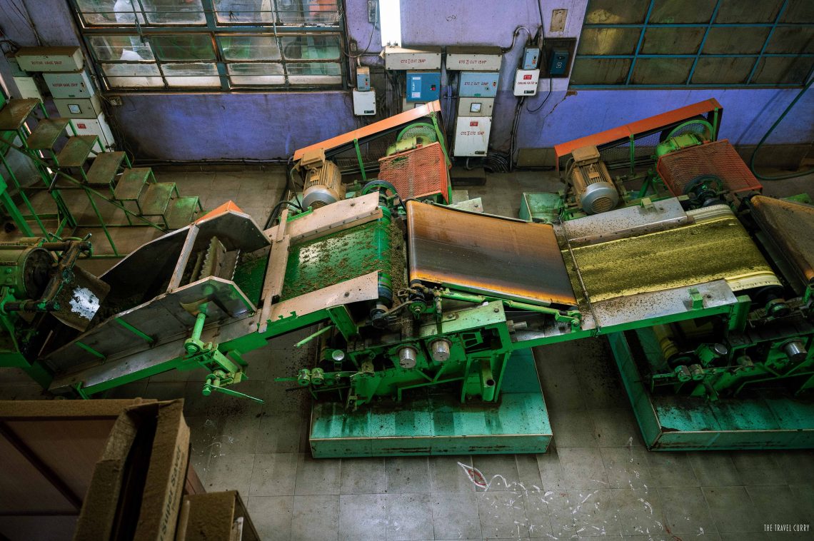 Top 9 Most Exciting Places to Visit in Ooty - The Travel Curry