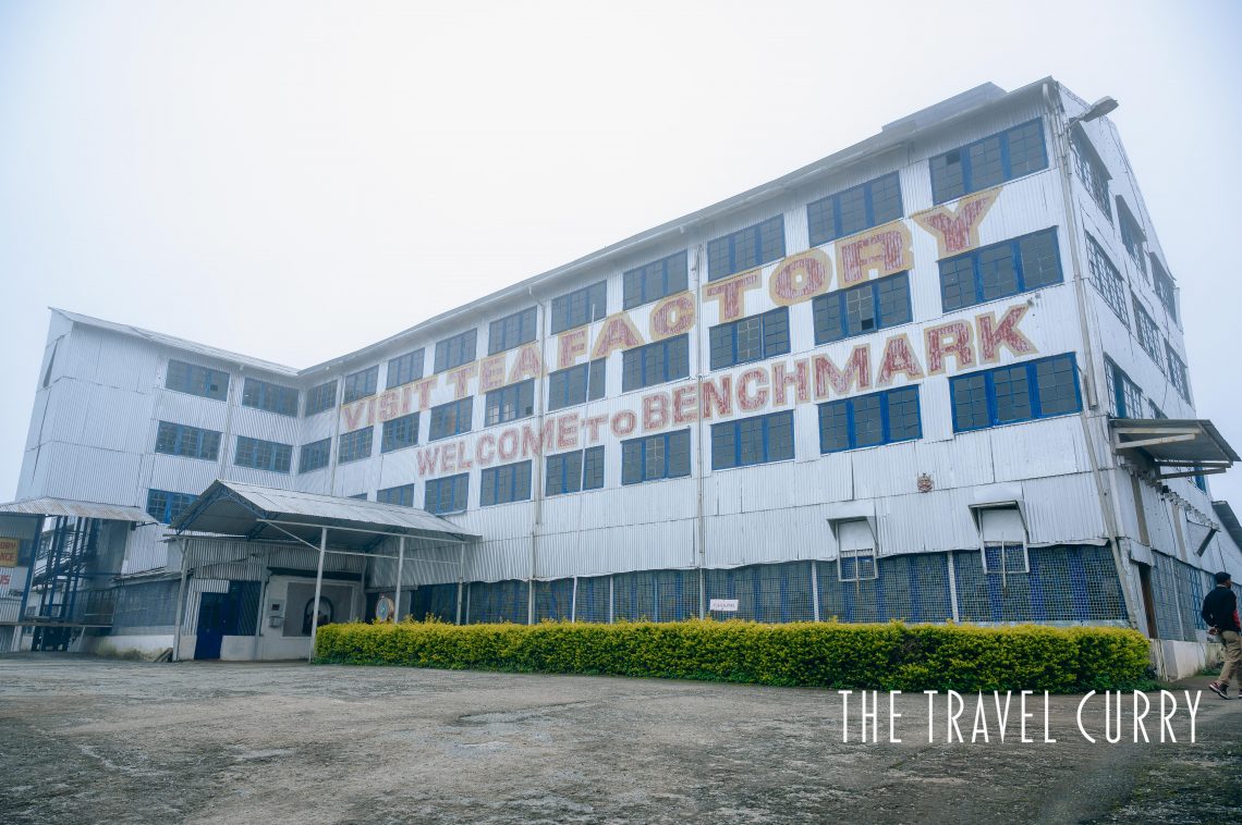 plan a trip to coonoor with useful tips and detailed guide