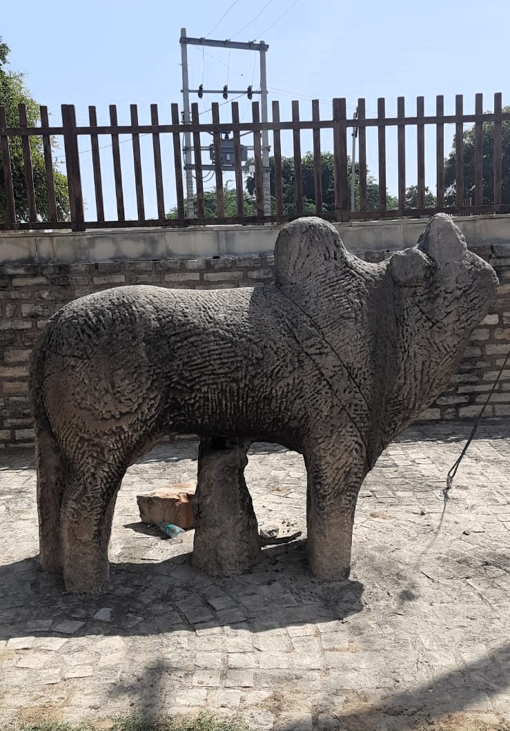The mystical Chausath Yogini Temple in Madhya Pradesh
